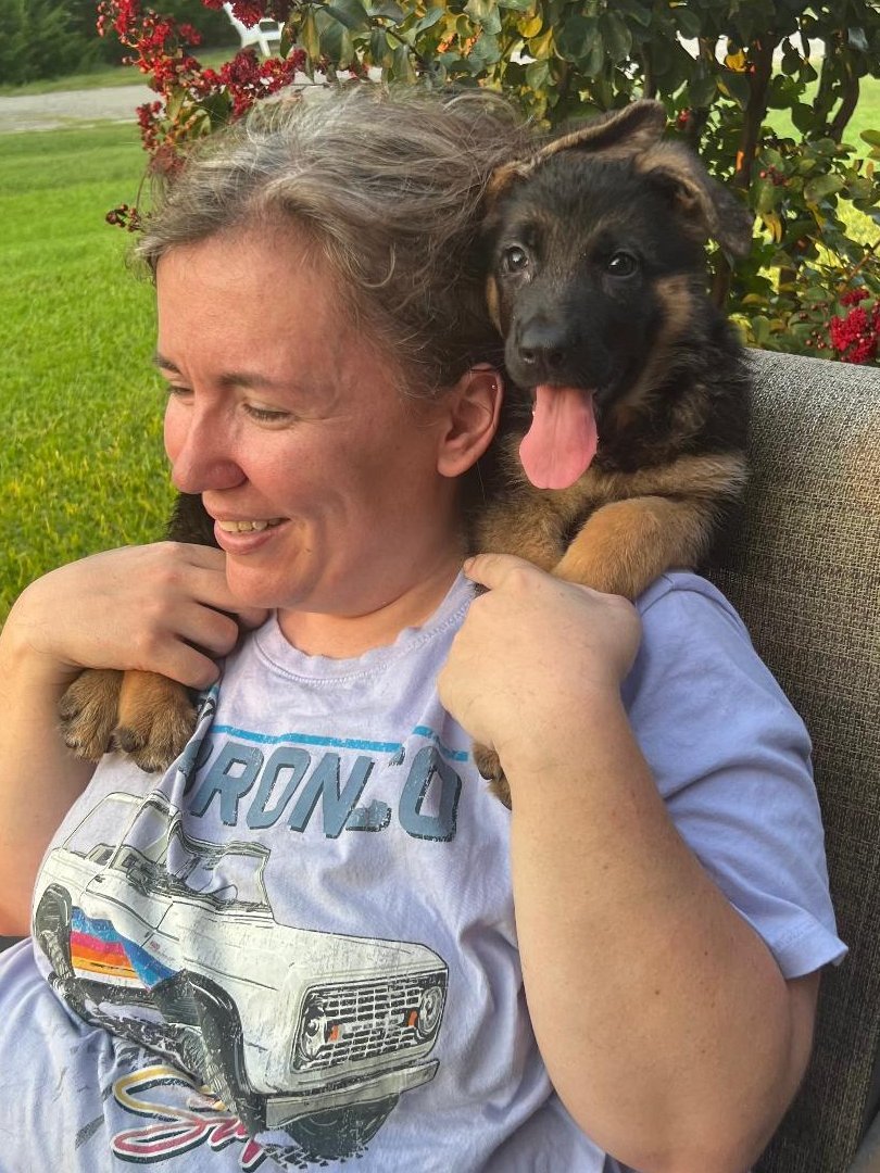 Fleischerheim German Shepherd Purebred Imported Puppies