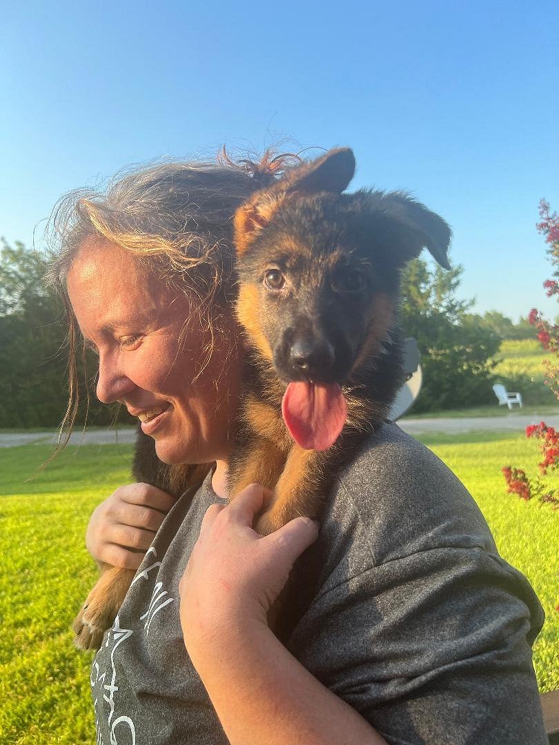 Fleischerheim German Shepherd Purebred Imported Puppies
